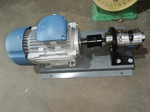 Ưu Và Nhược Điểm Bơm bánh răng Maruti MESX Inox 316 | Vnpump