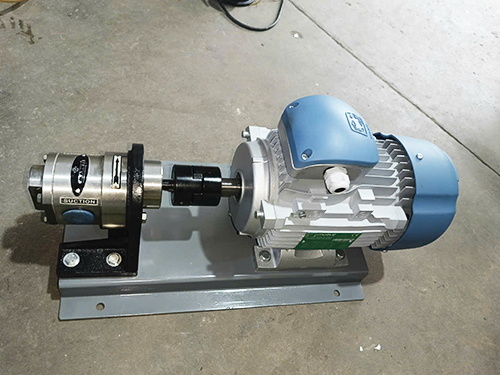 Ưu Và Nhược Điểm Bơm bánh răng Maruti MESX Inox 316 | Vnpump